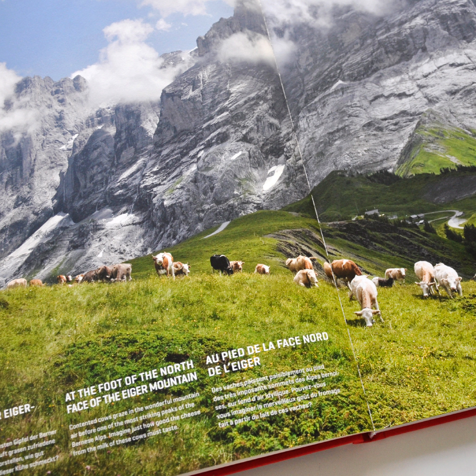 Benteli / Meine Schweizer Kühe – frei – büro für gestaltung